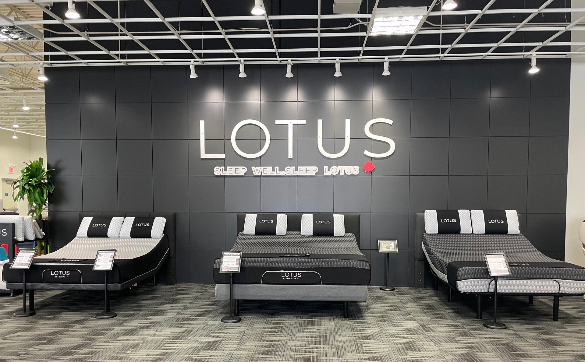 LOTUS Sleep Products | Mattress | Pillows | Weighted Blanket